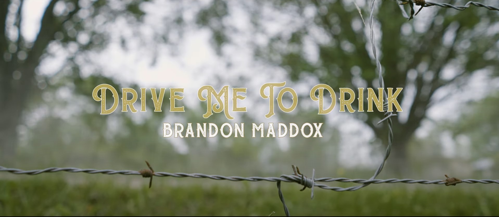 Brandon Maddox Releases - "Drive me to Drink" Music Video