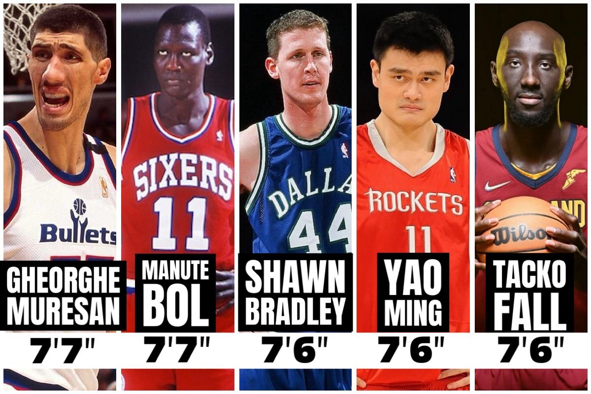 5 of the Tallest Basketball Players in the History of NBA